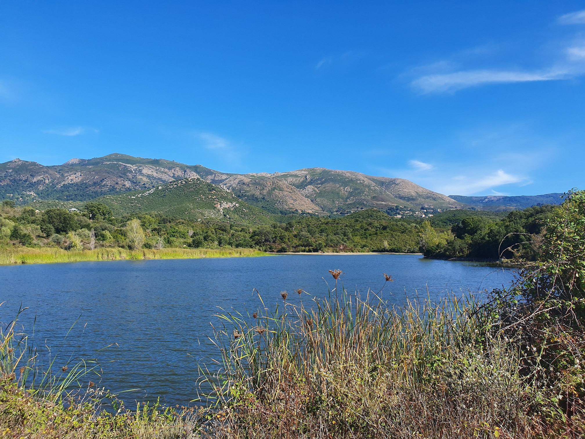 Corsica Zoo, new home of animals in Corsica - Sustainable Tourism in ...