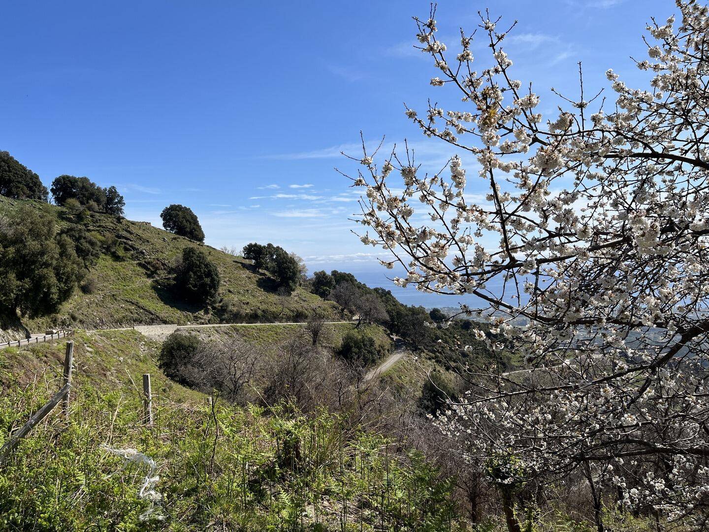 Corsica in pictures #5: villages of Costa Verde in springtime ...